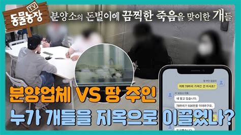 분양업체 Vs 땅 주인 누가 개들을 지옥으로 이끌었나 Tv동물농장 Animalfarm Sbsstory Youtube