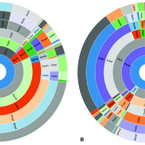 Sunburst Representation Of The Duodenal Microbiome In A Non Sibo N Download Scientific