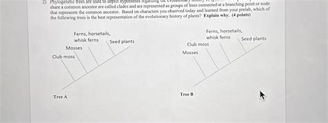Solved Phylogenetic Trees Are Used To Depict Hypotheses
