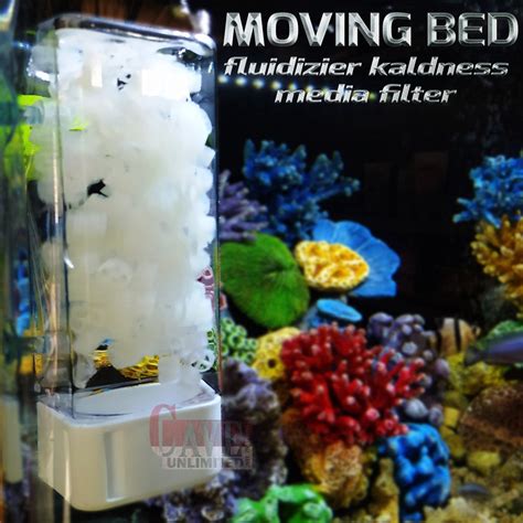 Jual Paket Media Filter Mbbr Moving Bed Fluidizer Rumah Kaldness K1 Micro Rumah Bakteri