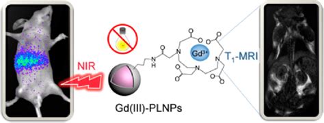 Bimodal Imaging Agent Based On Zggo Nanoparticles Coated With Dtpa Gd Download Scientific