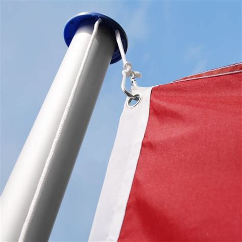 Nederlandse Vlag Met Vlaggenstok Vlaggenmast Nederland Oranje