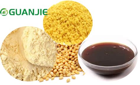 Apakah Klasifikasi Lesitin Soya Berita