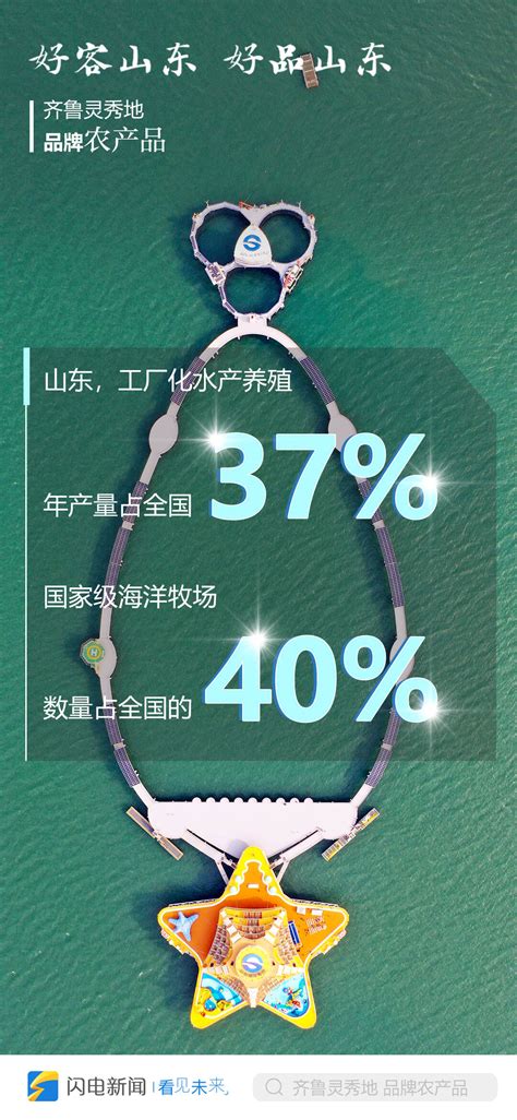 齐鲁灵秀地 品牌农产品闪电海报带你数看山东农业雄厚实力 德州新闻网