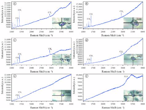 Laser Raman Spectra For Representative Fluid Inclusions Fis From The