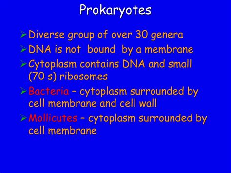 Ppt Pathogenic Prokaryotes Powerpoint Presentation Free Download