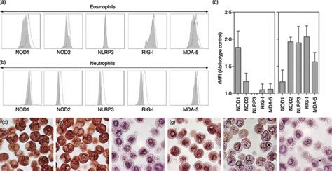 Expression Of Nucleotide Binding Oligomerization Domain Nod Like