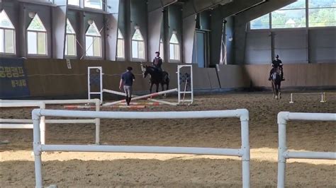 승마장 궁평캠프에서 스티브와 함께 구보를 하는 나 Youtube