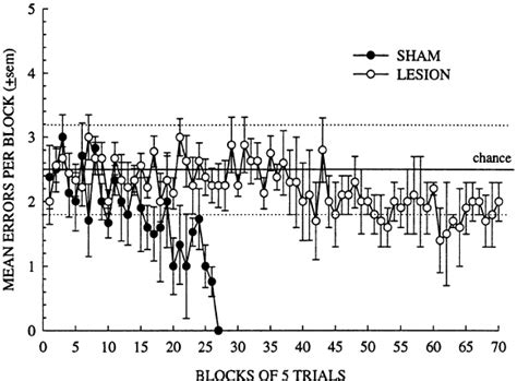 Learning Curves For Visuo Visual Conditional Discrimination Learning In Download Scientific