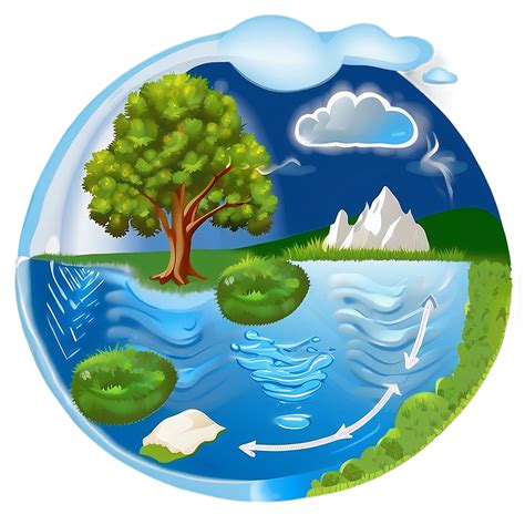 Download Water Cycle In Nature Png Rxp71