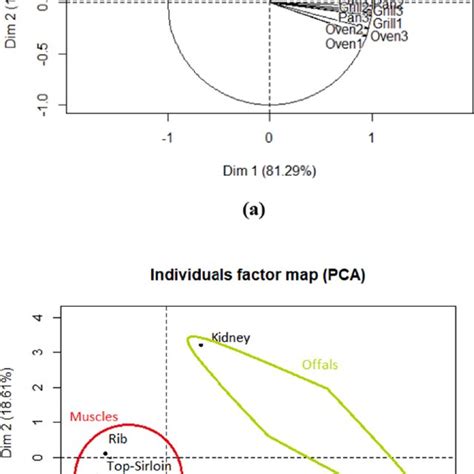 principal component analysis with all the data a loading plot and