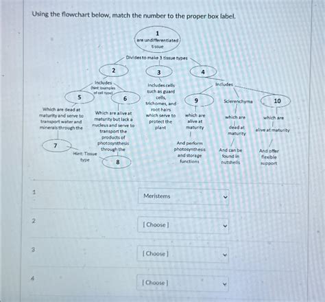 Solved Using The Flowchart Below Match The Number To The