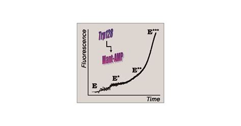 Nucleotide And Substrate Induced Conformational Transitions In The Cbs