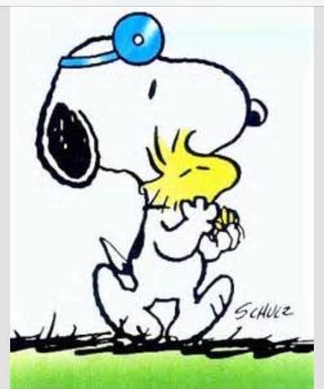 24 Doctor Snoopy Ideas Snoopy Snoopy Love Snoopy And Woodstock