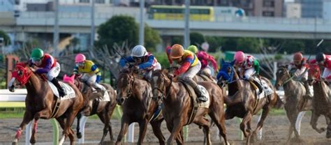 競馬指数はどうやって出すの？5つの競馬指数の出し方を解説！ 競馬指数ラボ