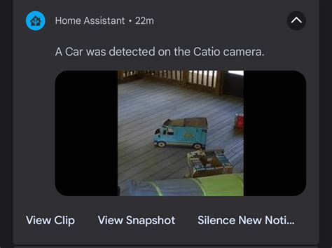 frigate absolutely nailing the object detection and confusing the hell