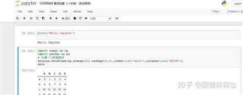 Jupyter Notebook