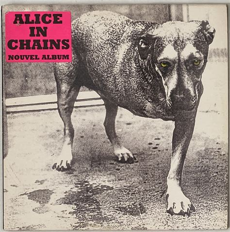 Lot 133 Alice In Chains Nouvel Album European