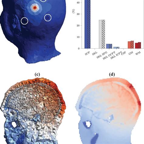 A A View Of The Scalp Potential Induced By The Set Electrodes