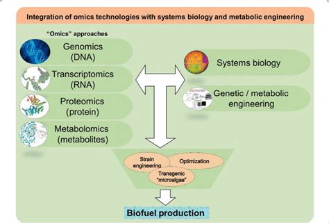 Research Among Omics Approaches Systems Biology And The Genetic Download Scientific Diagram