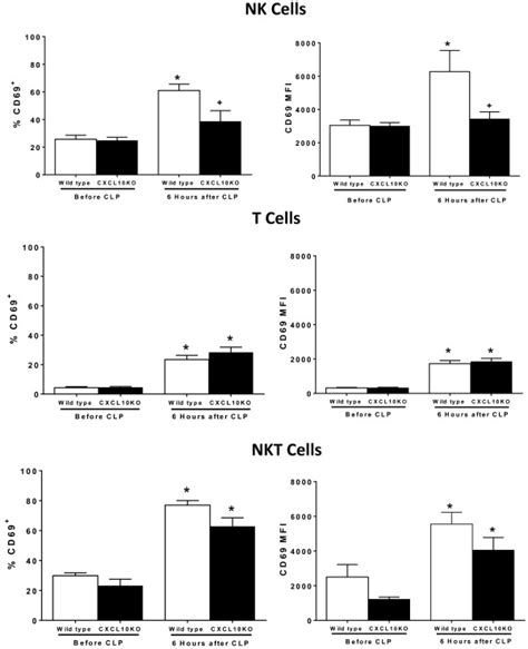 Lymphocyte Activation During Cecal Ligation And Puncture Clp Induced
