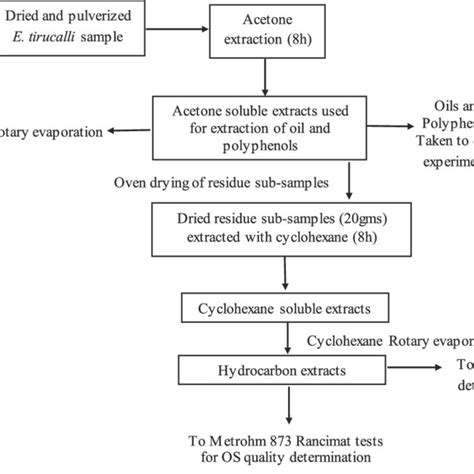 Schematic Representation Of The Solid Liquid Extraction Technique For Download Scientific