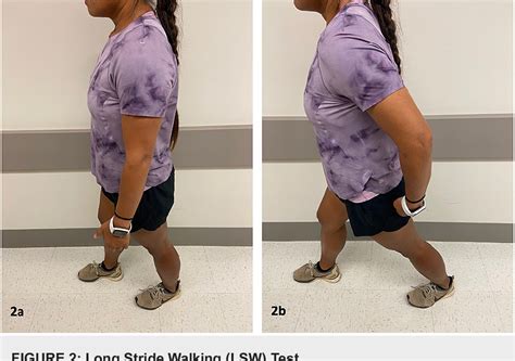 Figure 2 From Piriformis Syndrome Masquerading As An Ischiofemoral