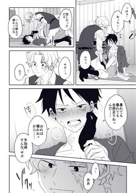 Pin By Down Fall On ONE PIECE One Piece Cartoon Ace And Luffy One Piece Comic