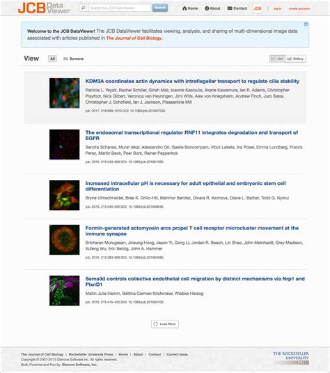 Liza Unson Ui Ux Designer Visual Design Portfolio