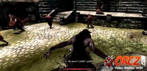 Skyrim Beast Form The Video Games Wiki