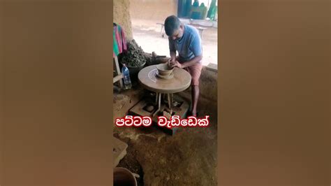 පුංචි🥰පැංචිගේ Trip එක🥳 Youtubeshorts Youtube Visitsrilanka Shorts