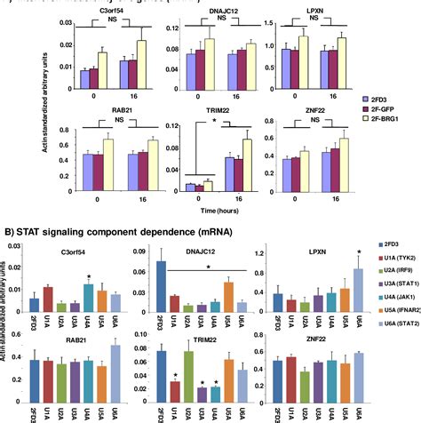 Figure 11 From Functional Roles Of The Swisnf Atpase Brahma Related