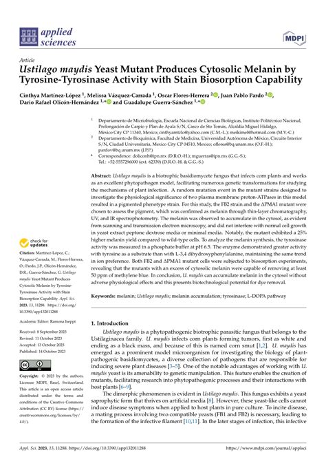 Pdf Ustilago Maydis Yeast Mutant Produces Cytosolic Melanin By