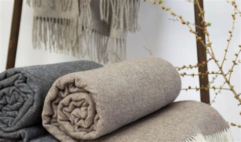 Pledi Stilīga Interjera Detaļa Kura Neprasa Piepūli Valmieras Ziņas