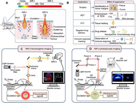 Nanoprobe Based Near Infrared Ⅱ Optical Imaging For Guiding Precisio Ijn
