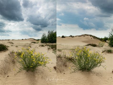 the relationship between the foreground and the background fstoppers