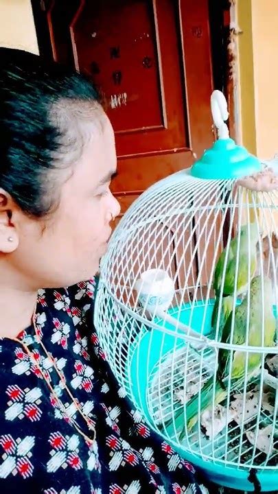 Dal Bhat Tarkari Khaya Karo Youtube