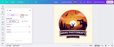 How To Blur In Canva 1 Minute Video Guide