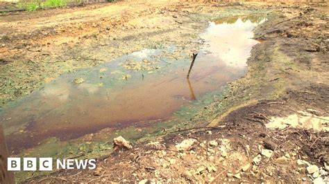 Nigeria Oil Spills Spark Environmental Genocide Bbc News