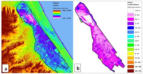 Lidar Derived Digital Elevation Model Download Scientific Diagram