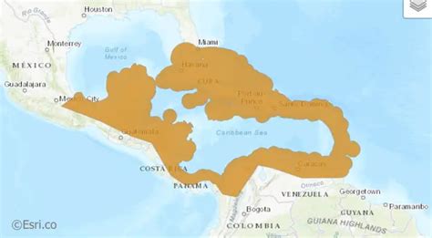 How To Catch Bonefish Huge Fishing Guide Salty101