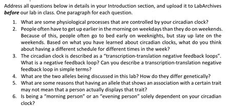 Solved Address All Questions Below In Details In Your Chegg Com