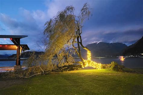 Wind Whips Through Agassiz Harrison Agassiz Harrison Observer