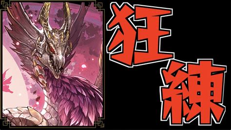 【狂練】メルゼナ四季神ループの周回編成解説！【パズドラ実況】 パズドラ動画まとめ