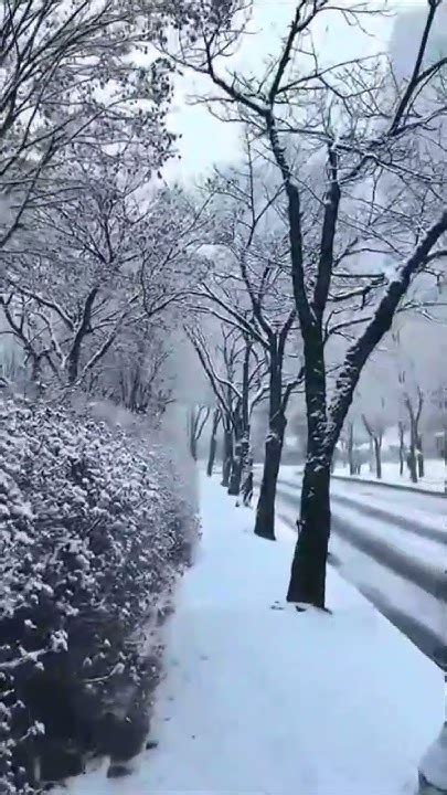 යන්න ඉන්න කොරියාවෙ ලස්සන 💚🇰🇷👌 Youtube