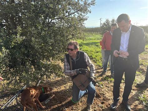 El Govern Destina 55 Millones A 114 Proyectos De Innovación En El
