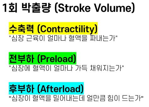 1회 박출량 Stroke Volume 의학당