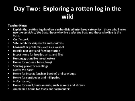 Lesson Plan Spencer Tyler Pudge Rotting Log Ecosystem