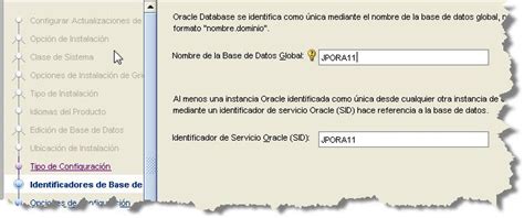 Install Sonar Oracle Qualilogy