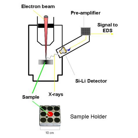 Cartoon Schematic Of The Sem Operation Of The Qemscan Technology Download Scientific Diagram